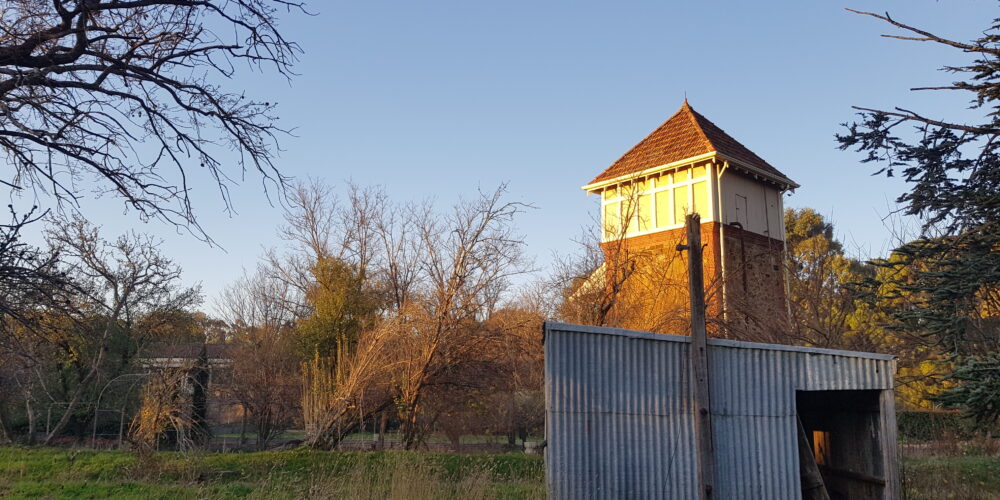 The Charming Folly at the bottom of Anlaby's Garden - Anlaby